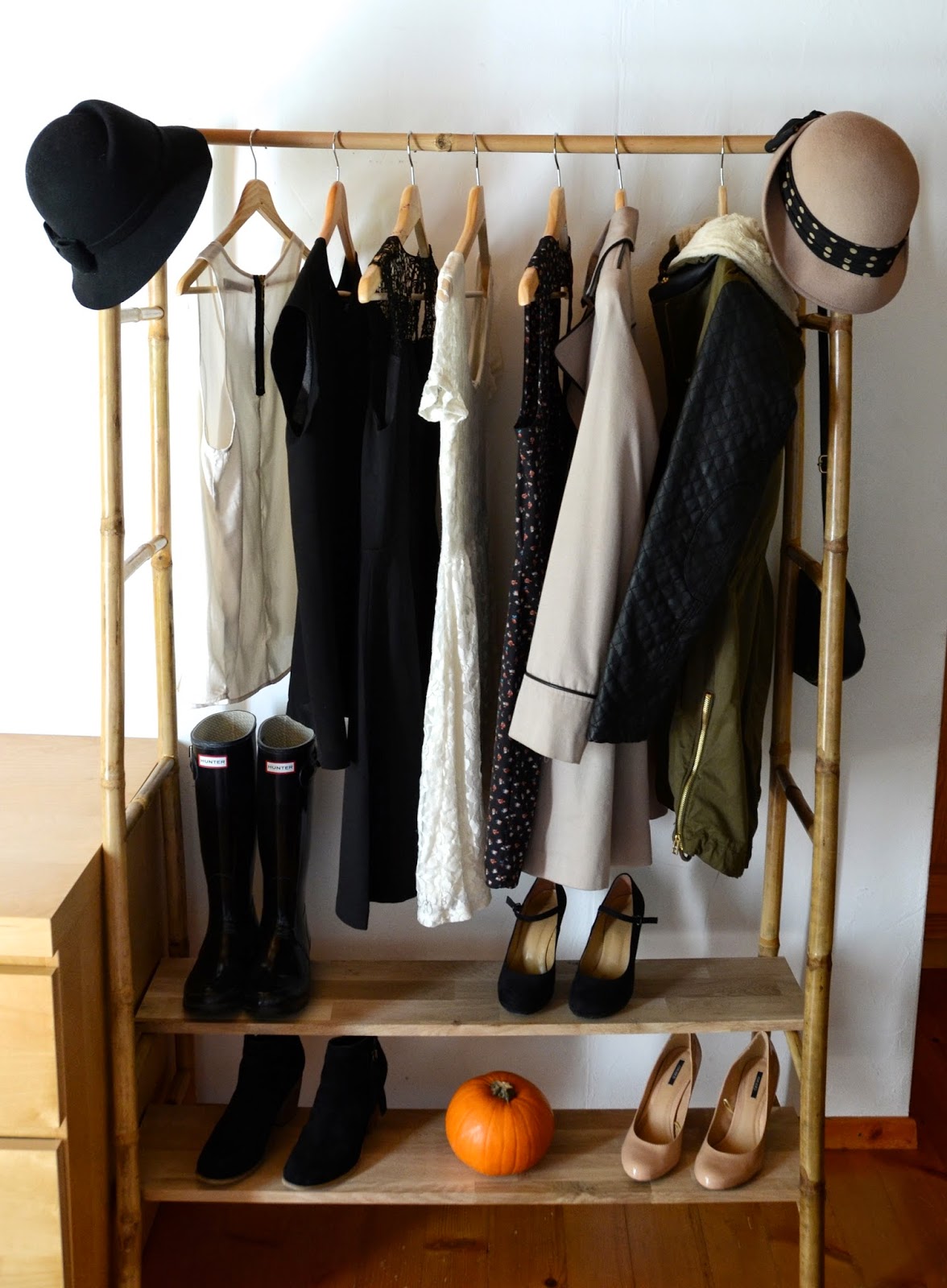 Feathers and Brushes: DIY Ladder Wardrobe