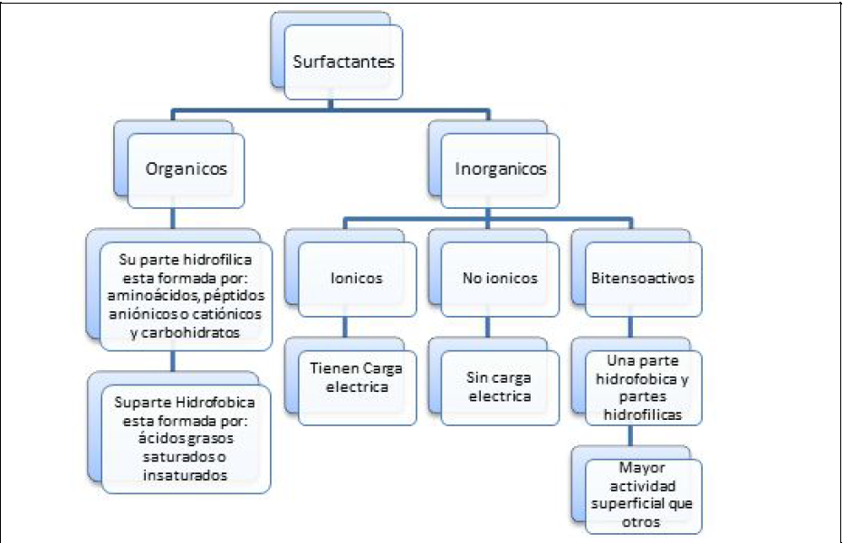 Bacterias productoras de bio-tensoactivos para biorremediación: 1 ...