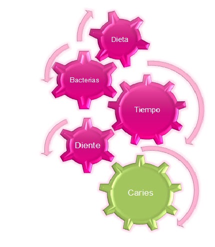 Dental Care: Caries Dental