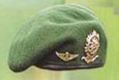 Dunia Militer Etc: Jenis baret TNI AD