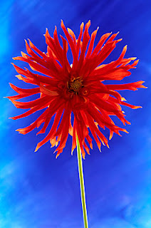 Photography: Andy Small