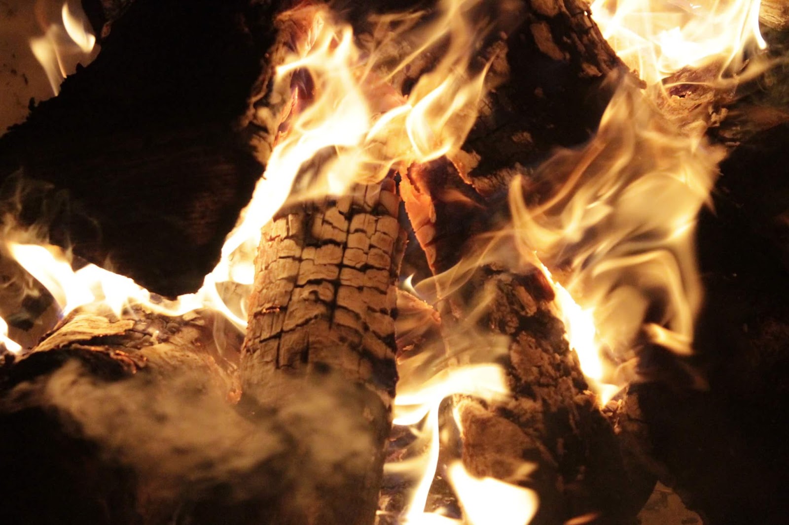 Orbas reindeer family