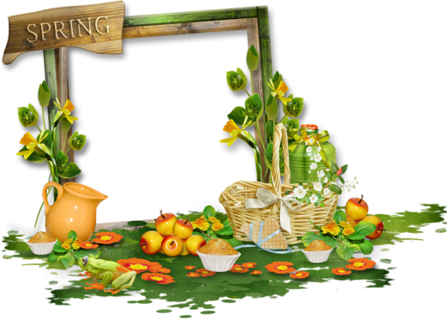 ForgetMeNot: Cluster spring frames