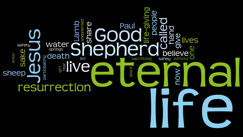 Our Lady of Mount Carmel, Mill Valley: Sunday Gospel Reflection, April ...