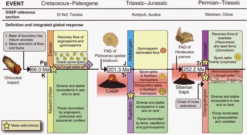 The Dragon's Tales: Using Vegetation Patterns from the KT/K-Pg Mass ...