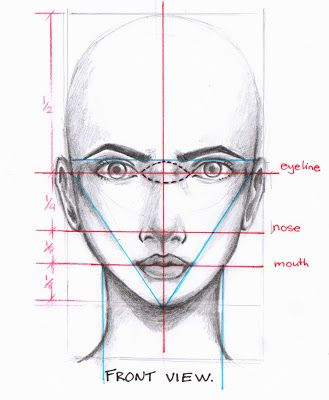 Somniare Lilium: Head proportions and all you need to know to draw a ...