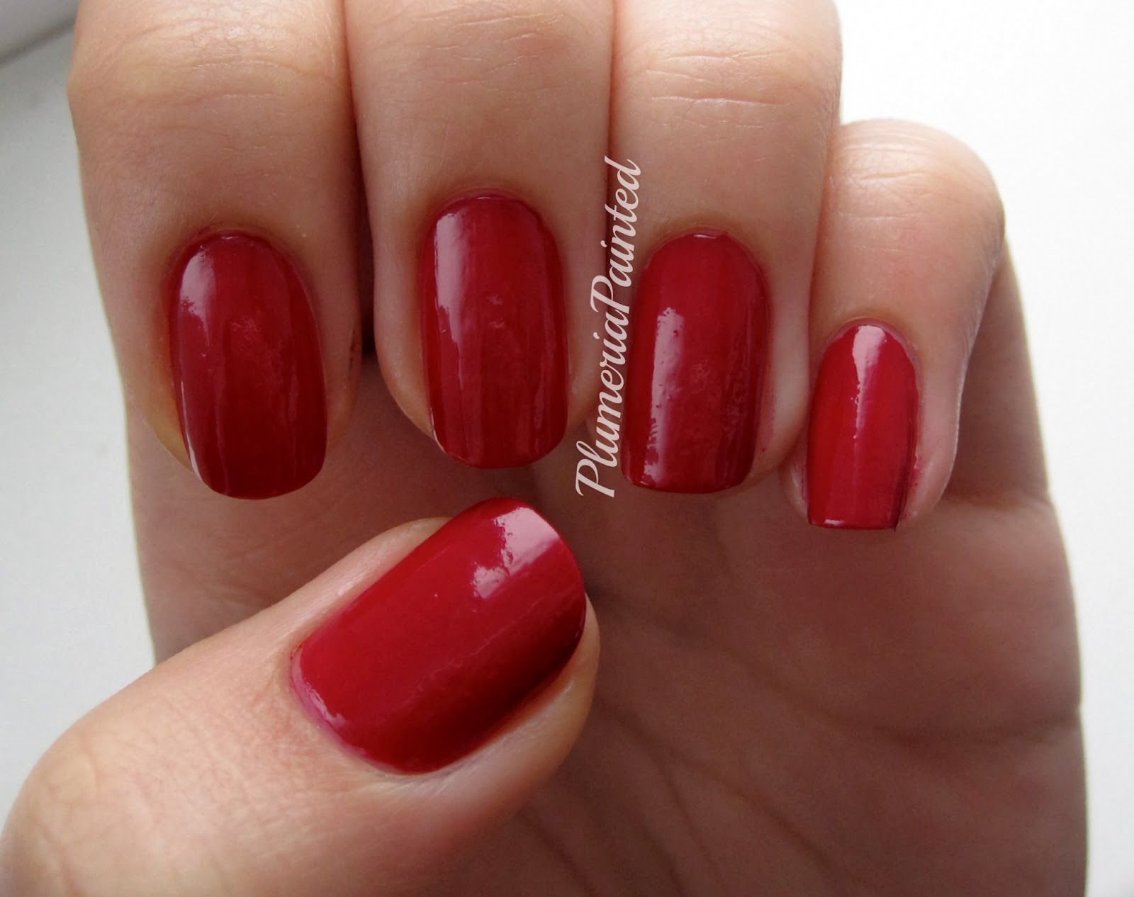 PlumeriaPainted: January 2014