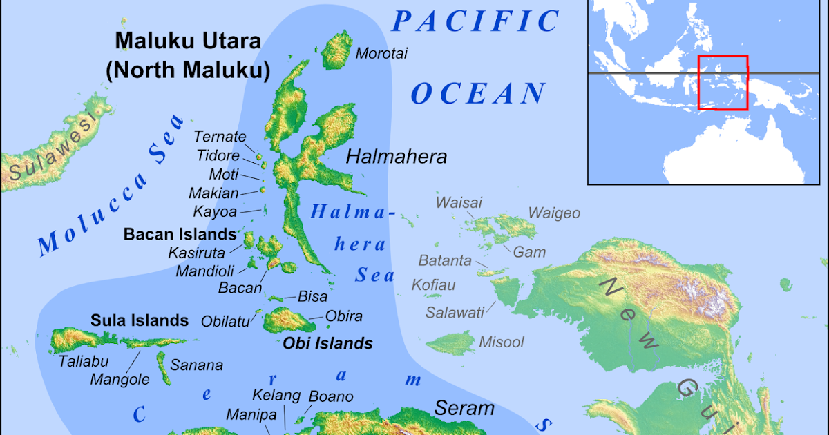 Paul B Souisa: For the Indonesian economy, the procedure turned out to ...