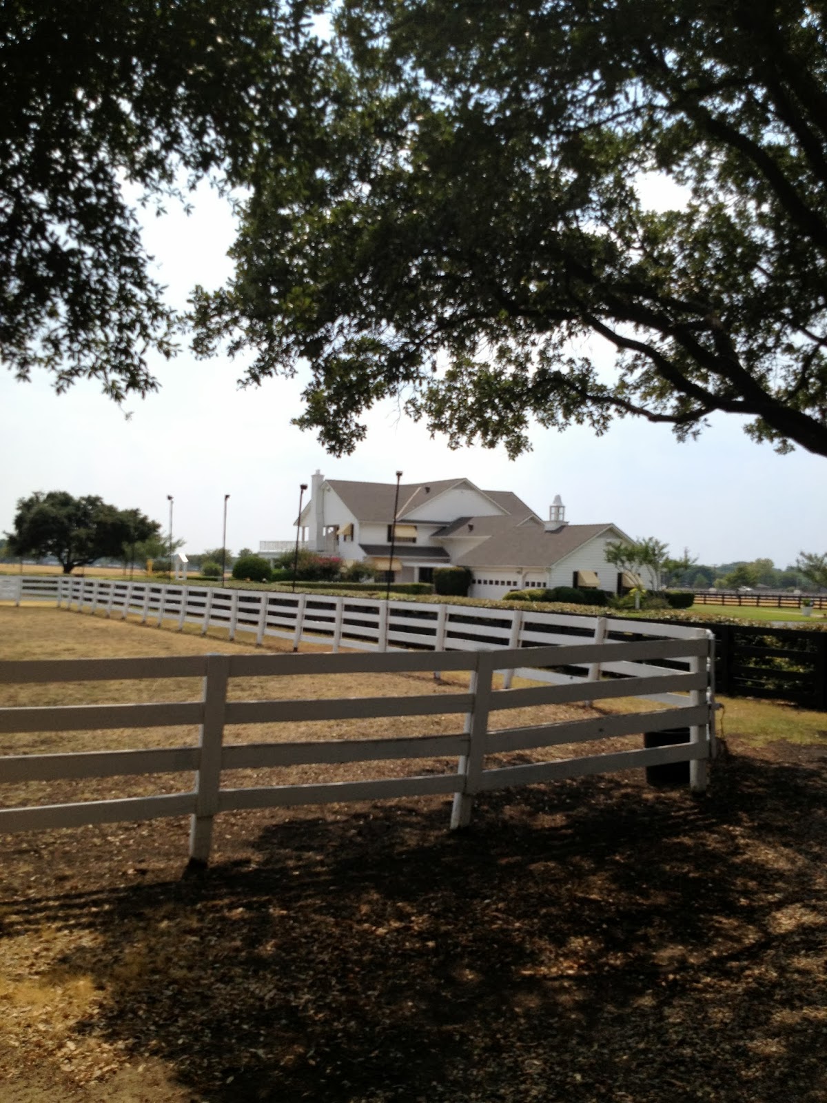 Life with Our Miracles: SouthFork Ranch