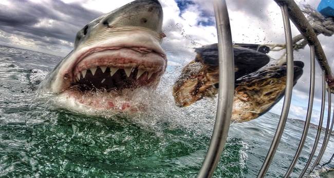 LOOK: Some Of Amazing GoPro Shots All Over The World - It's More Fun ...