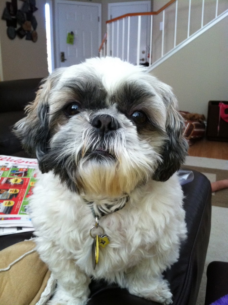 Beautiful World : These Gorgeous, Gracious and Funny Animals!