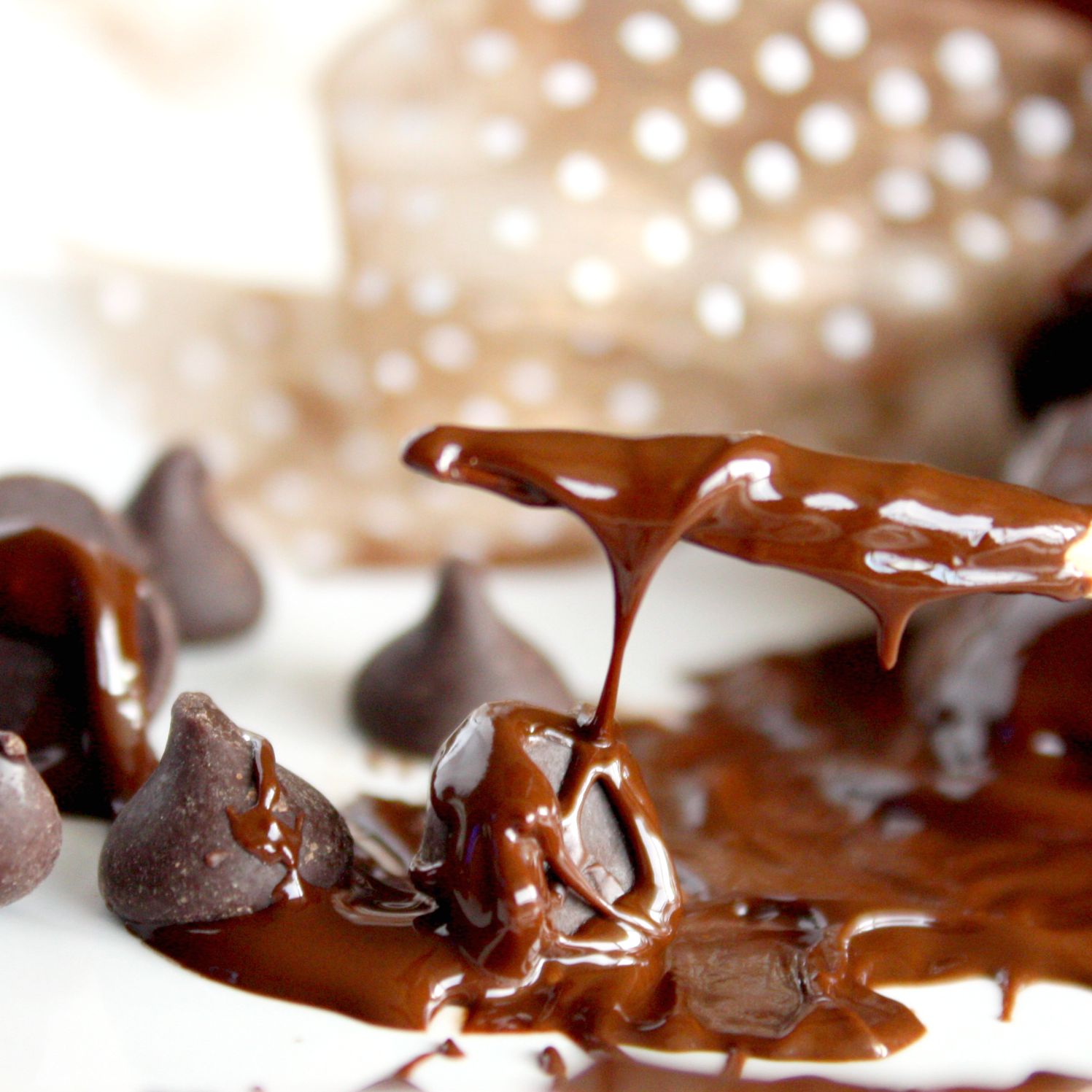 Our Eyes Eat First: Painting a Portrait..... with Chocolate!