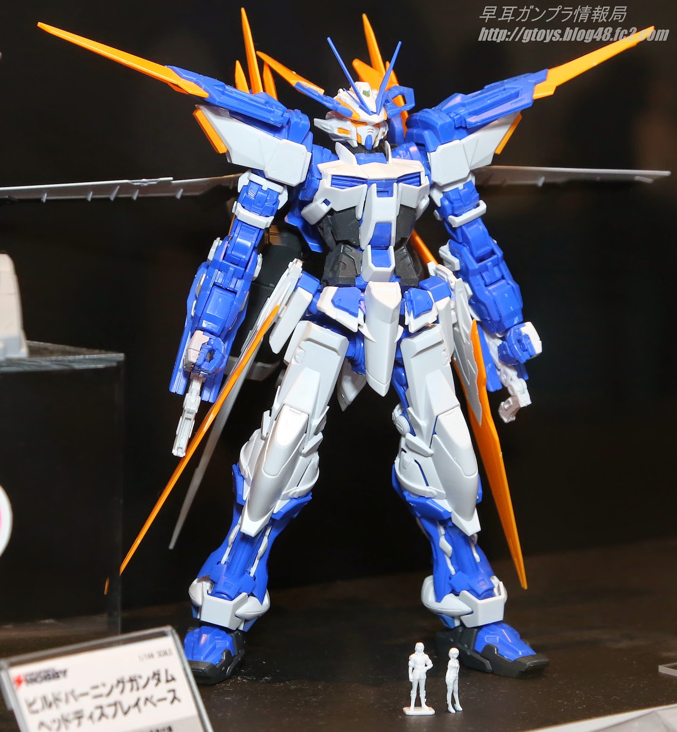 MG 1/100 Gundam Astray Blue Frame D and Premium Bandai parts on Display ...