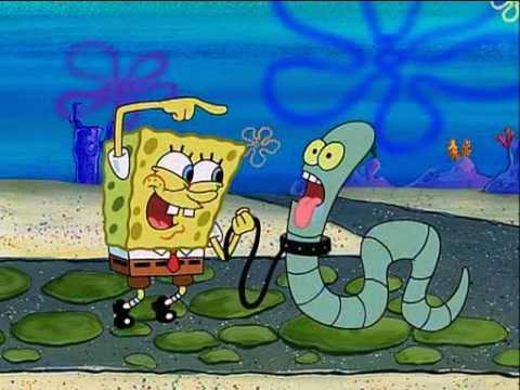 LA CIENCIA DE LA VIDA: Aprende Zoología con Bob Esponja [Homenaje a ...