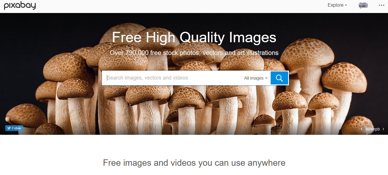 The Possibility Of Earning On PixaBay - A Free Stock Images Site ...