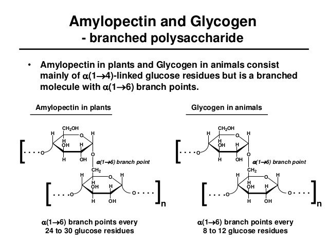 AlyseQ: MCAT · Biology 1 · Chapter 1 · Section 1.4 AlyseQ: MCAT · Biology 1 · Chapter 1 · Section 1.4