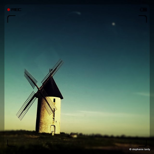 PHOTOGRAPHIES STEPHANIE TARDY