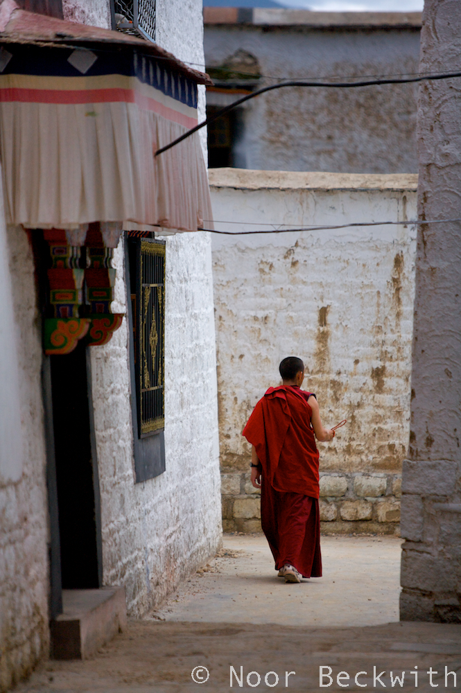 Noor Beckwith Photography: ARGUING MONKS OF SERA MONASTERY SERIES