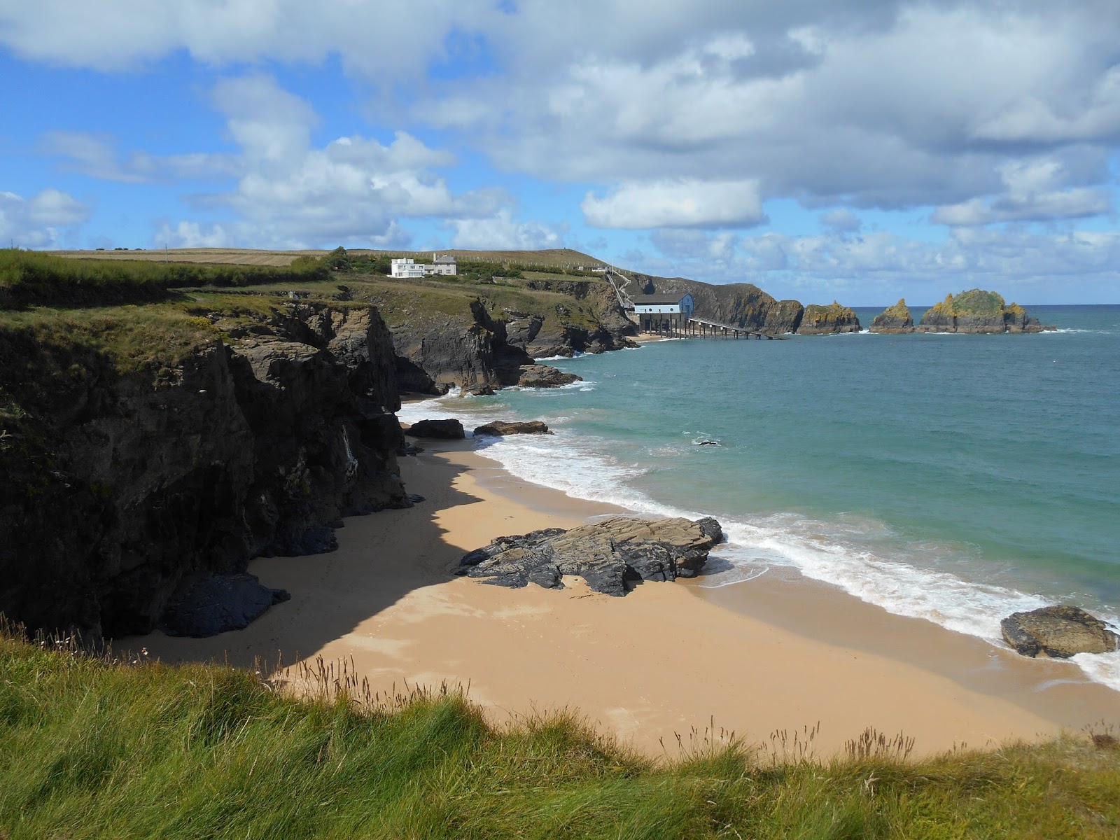 Nature Notes and Observations: Constantine Bay, Booby's Bay & Trevose ...