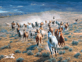 Elegant Horse Pictures