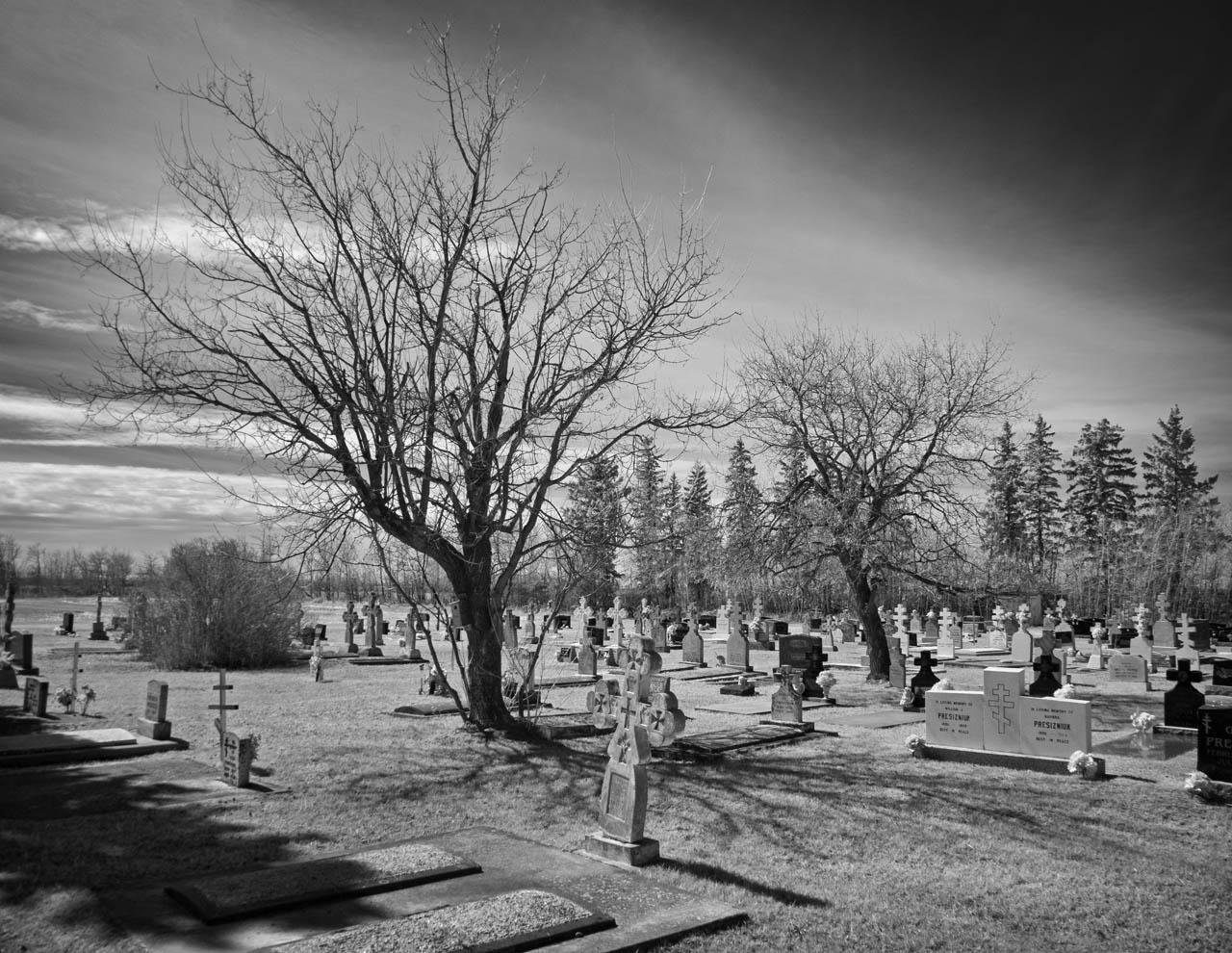Jim Cox Photos: Trees and Graveyard St. Mary's Lamont County