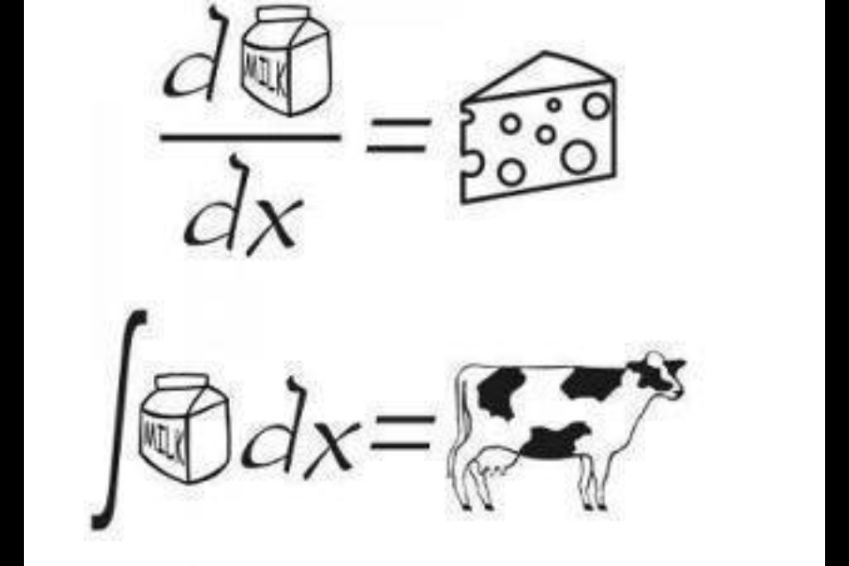 The Stingeries: Engineering Humor