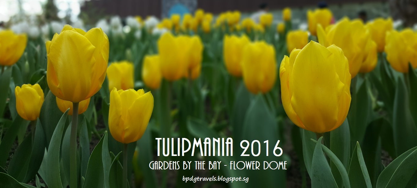 Tulipmania Rediscovered : Ottoman Empire (The Origin of Tulips ...
