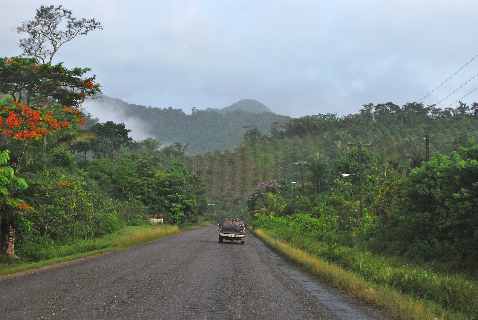 Catbird Scout: Belize the Beautiful