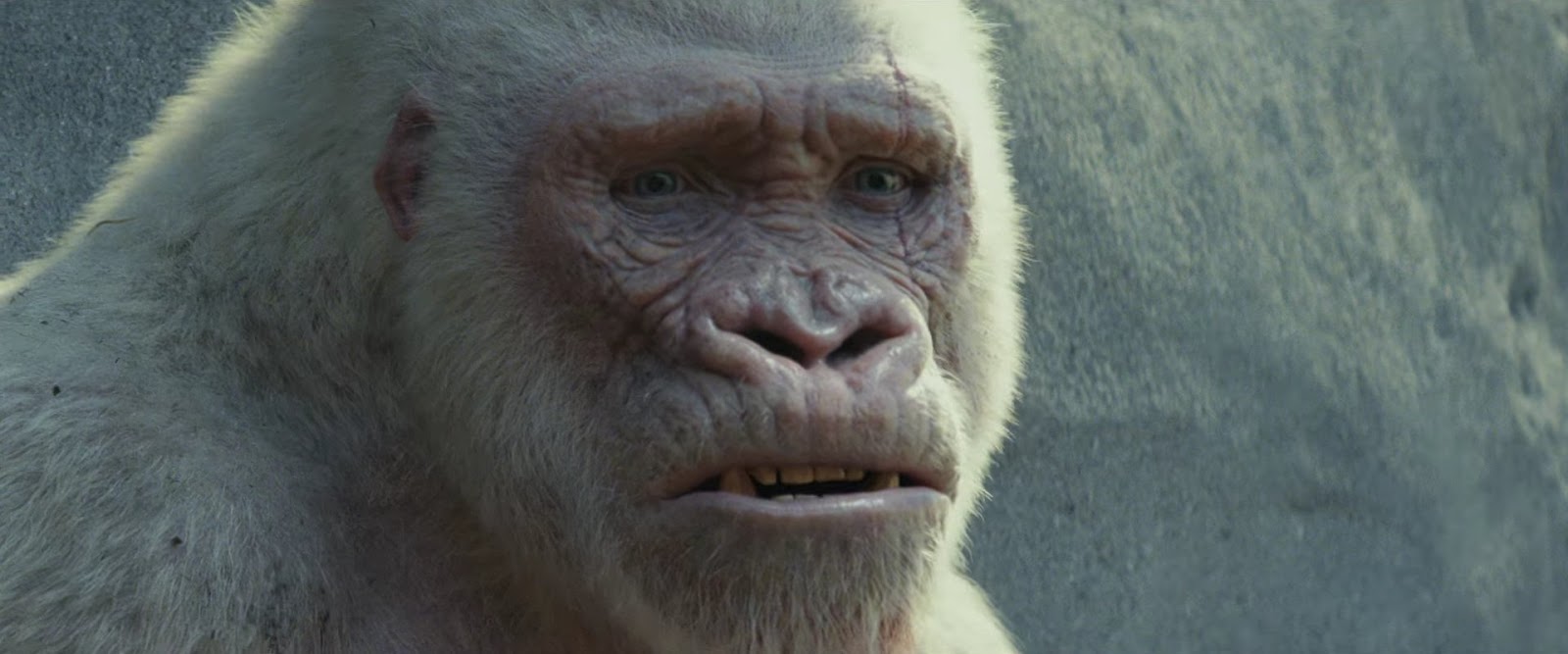 Cinematic Releases: Destroy All Buildings: Rampage (2018) - Reviewed