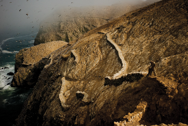 DESDE MI CHAJURDO: El guano y el salitre, dos recursos naturales que ...
