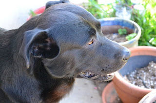 Oh, What A Spectacle!: Aww Heck! Just Photos!