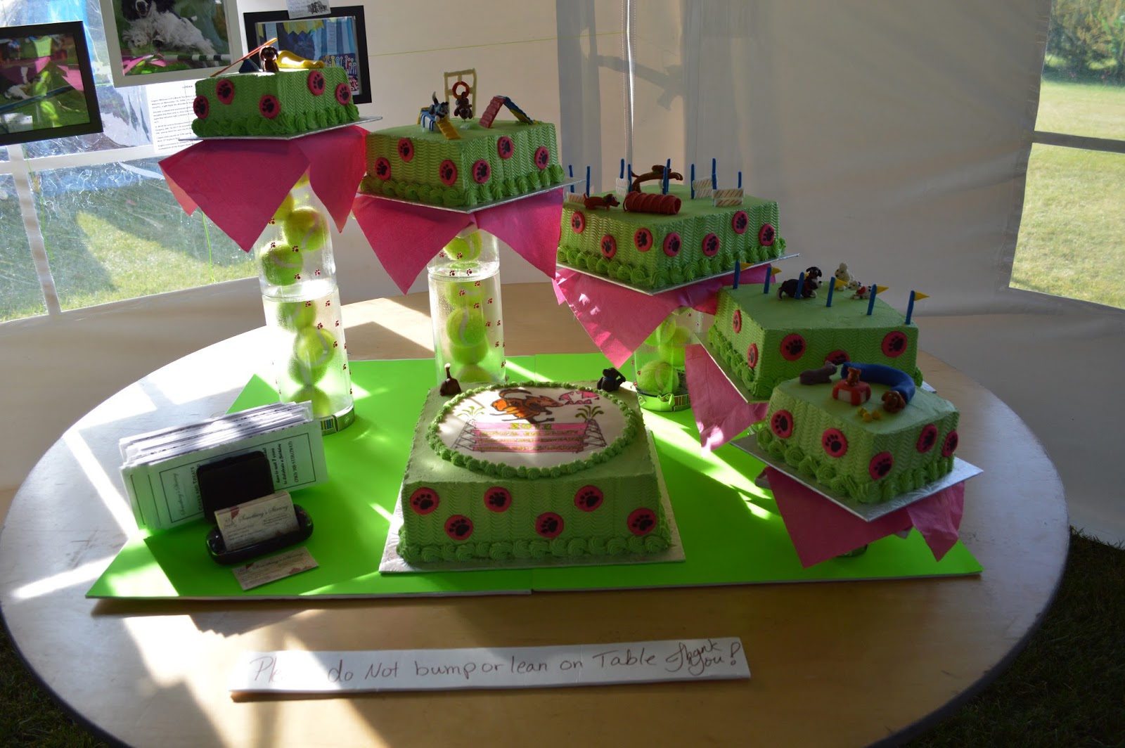 Fluffy-Chi-What?!: 2013 AAC National Agility Championships - Part 1 The ...