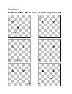 Chess Skills: Writing and Publishing