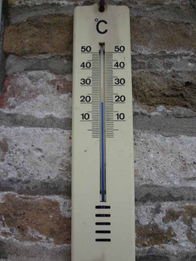 Hyacinten in bloei, met kunst en vliegwerk.