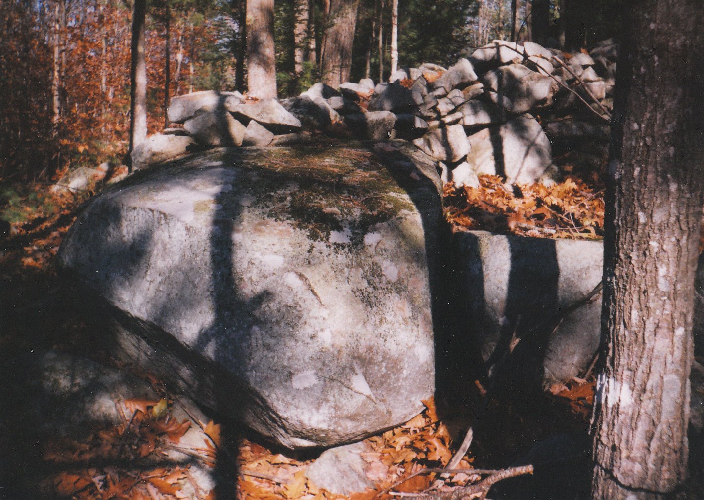 Waking Up on Turtle Island: The Giant Stone Snake (ME)