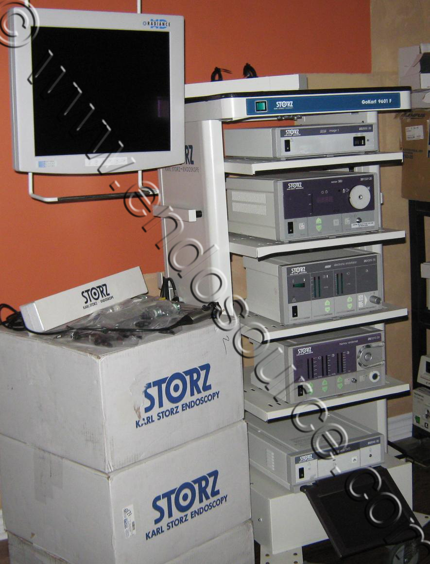 BIOMEDICAL ENGINEERING