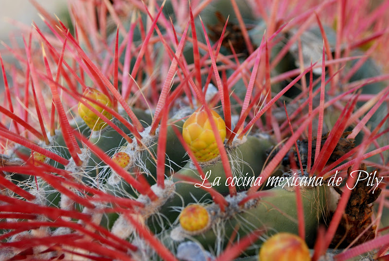 Chile poblano en escabeche relleno de atún | La Cocina Mexicana de Pily