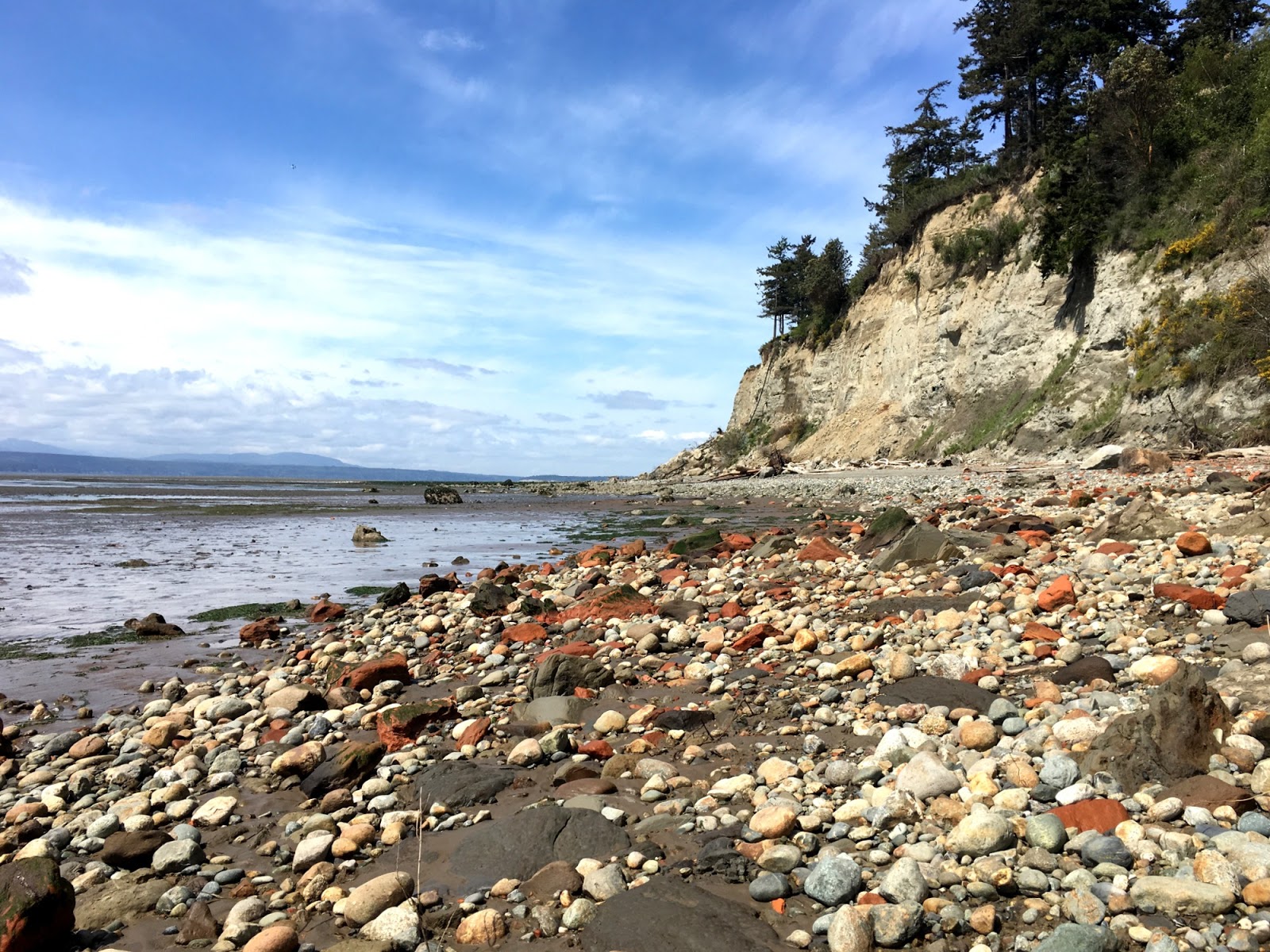 Gravel Beach: Double Bluff