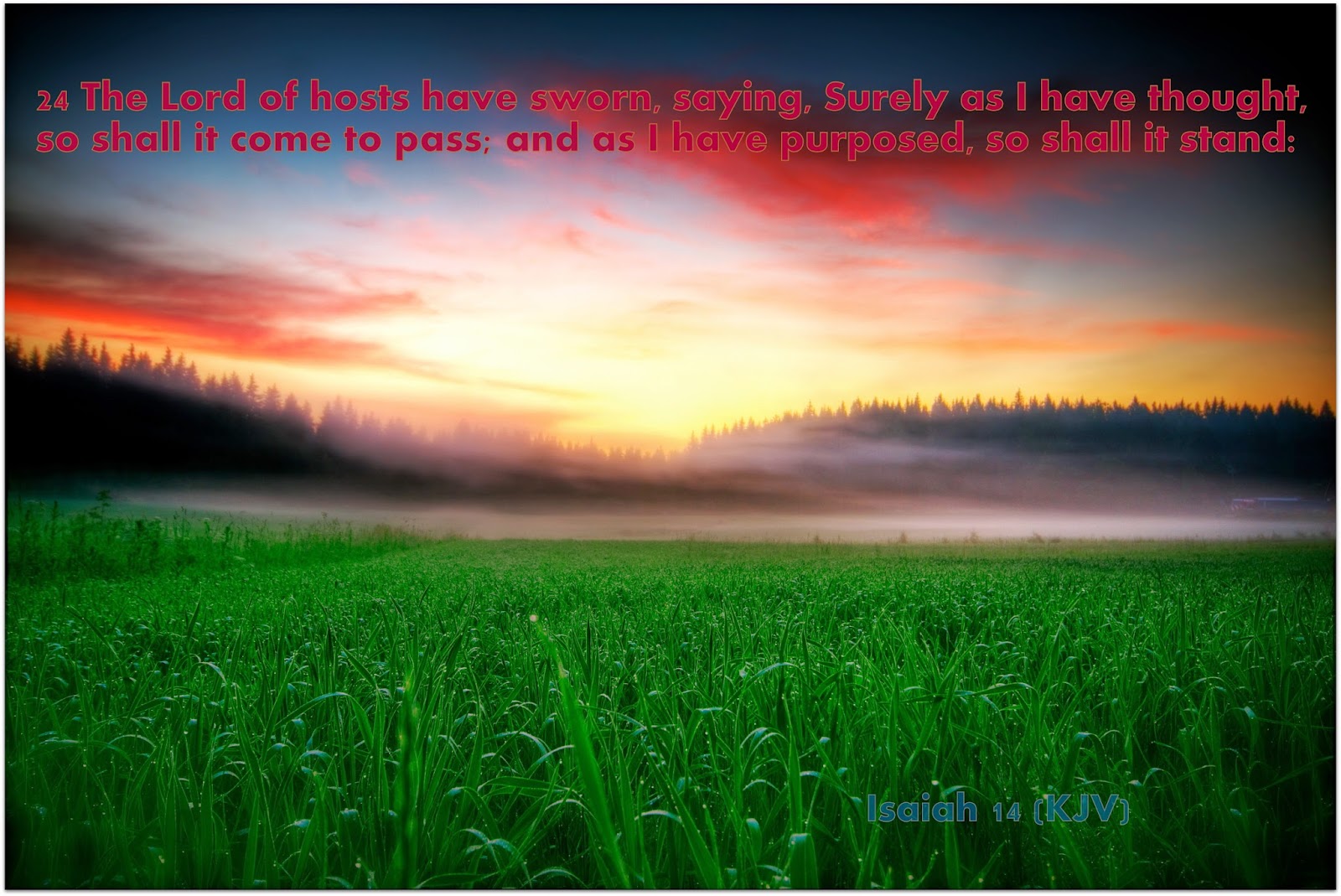 Red Pill Diaries Isaiah 14 KJV red-pill-diaries-isaiah-14-kjv