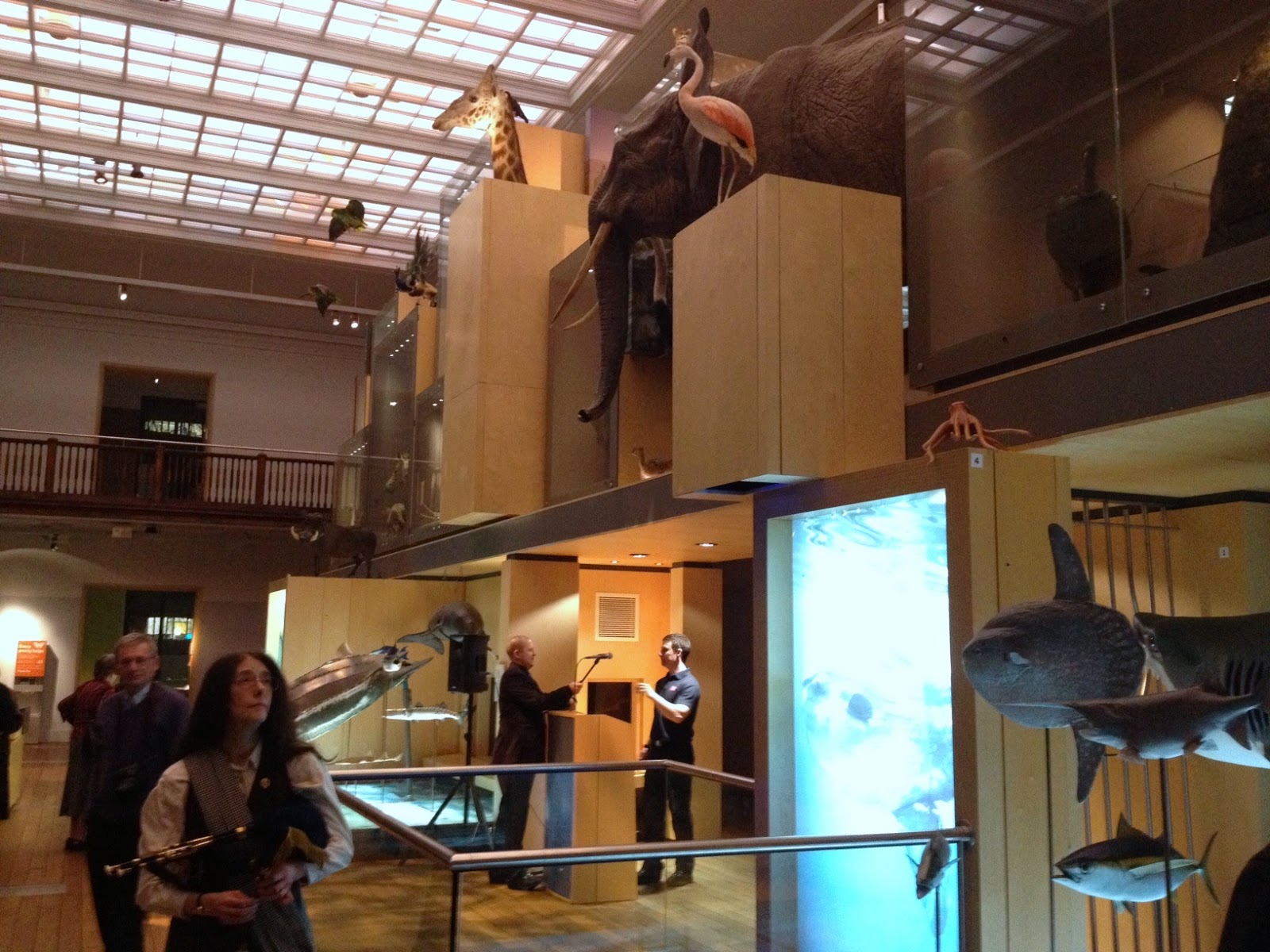 Cali Anthropology Girl: CAG on museums: Taxidermy at the Hancock Museum