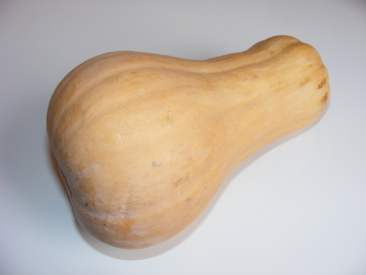 Inghetata de dovleac | Preparatedevis.ro