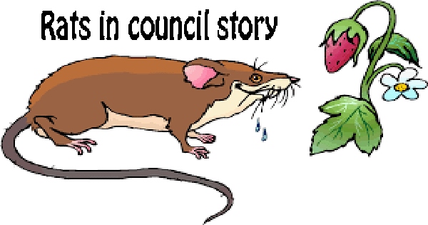 Rats in council story in Englsih | Hania Naz