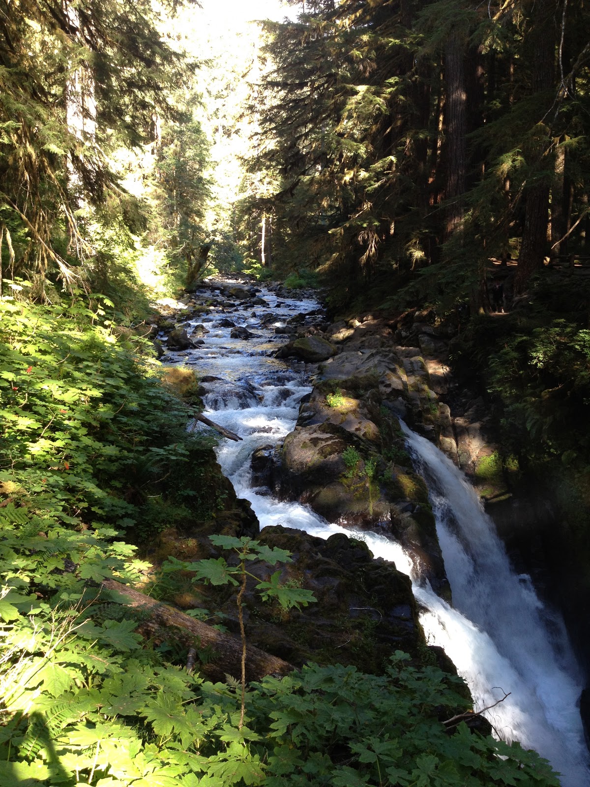 Hike the World: Olympic National Park: High Divide Loop: Seven Lakes Basin