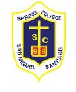 SPRING COLLEGE 2