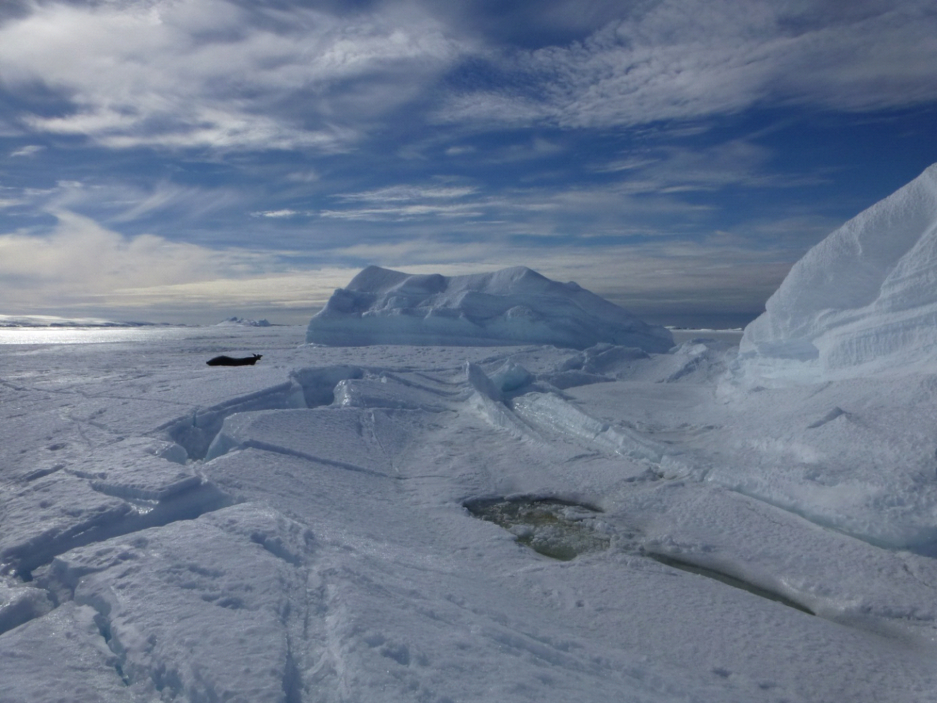 Aventure au bout du monde: La banquise