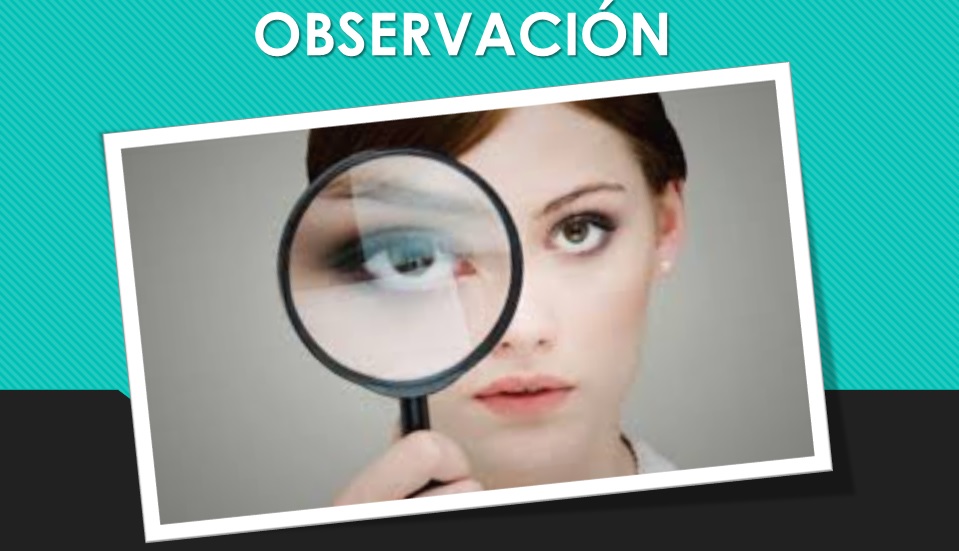 UDF Seminario de Investigacion: Observación