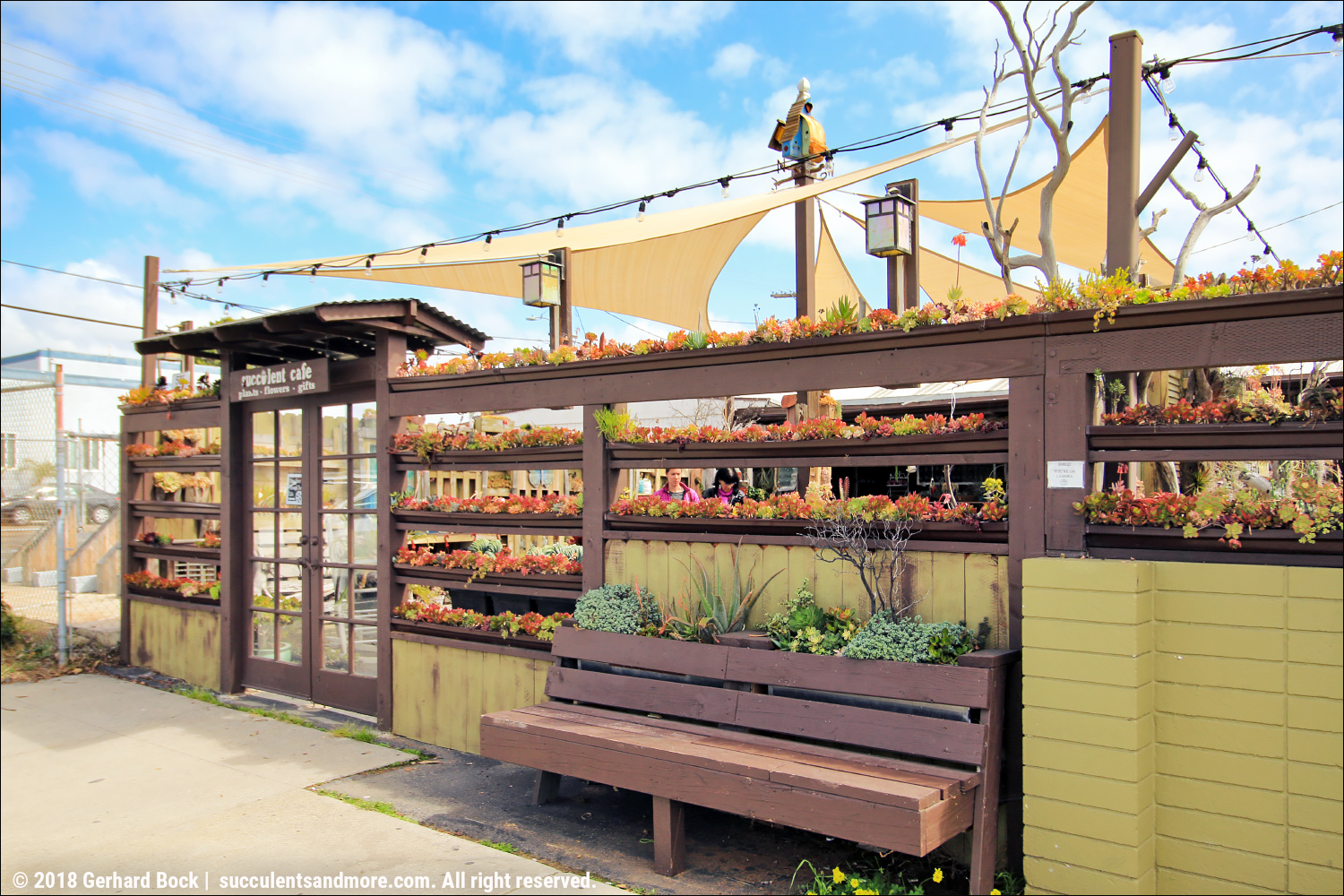 Sip and shop at the Succulent Café