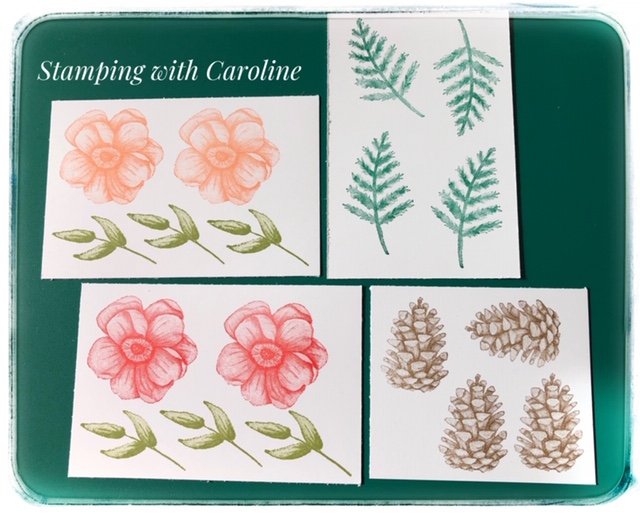 Stamping with Caroline: Less is More Painted seasons