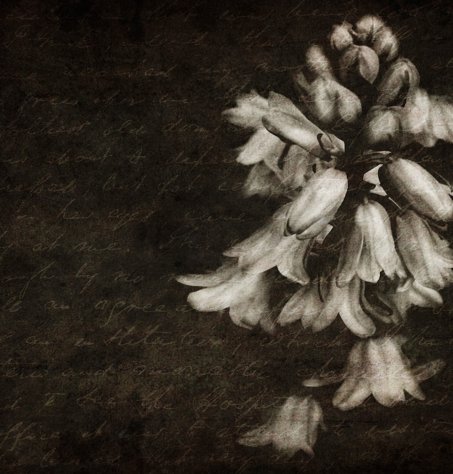 The CoffeeShop Blog: CoffeeShop "Earthy" Fine Art Texture/Overlay Set!