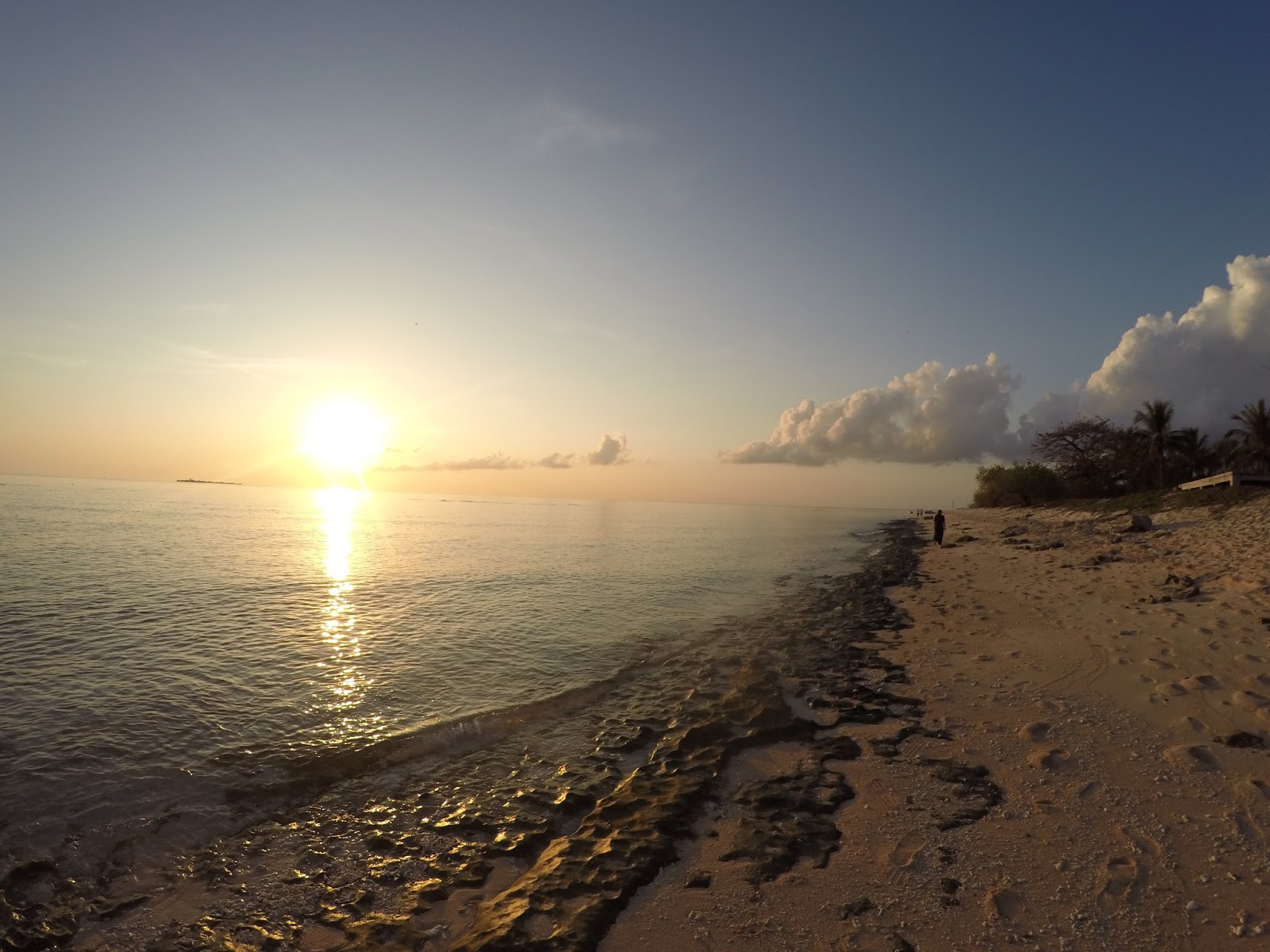 Travel Guide to Apo Reef Natural Park - moredantravels